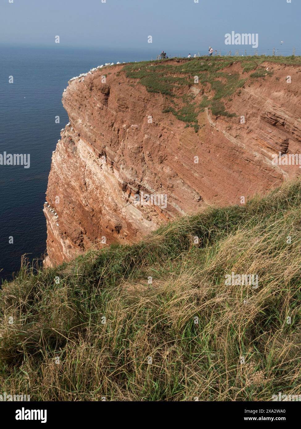 A high cliff rises steeply above the sea, with a breathtaking view ...