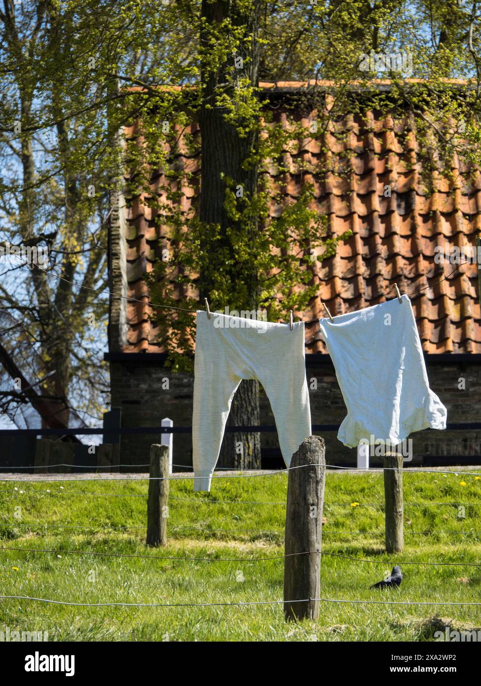 Washing line house exterior hi-res stock photography and images - Alamy