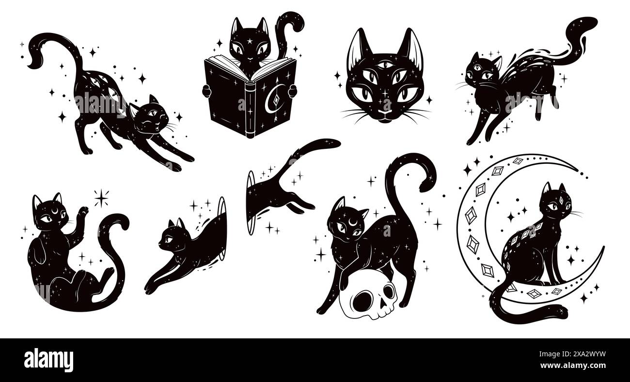 Magical mystic black cats. Vector set of whimsical feline animal ...