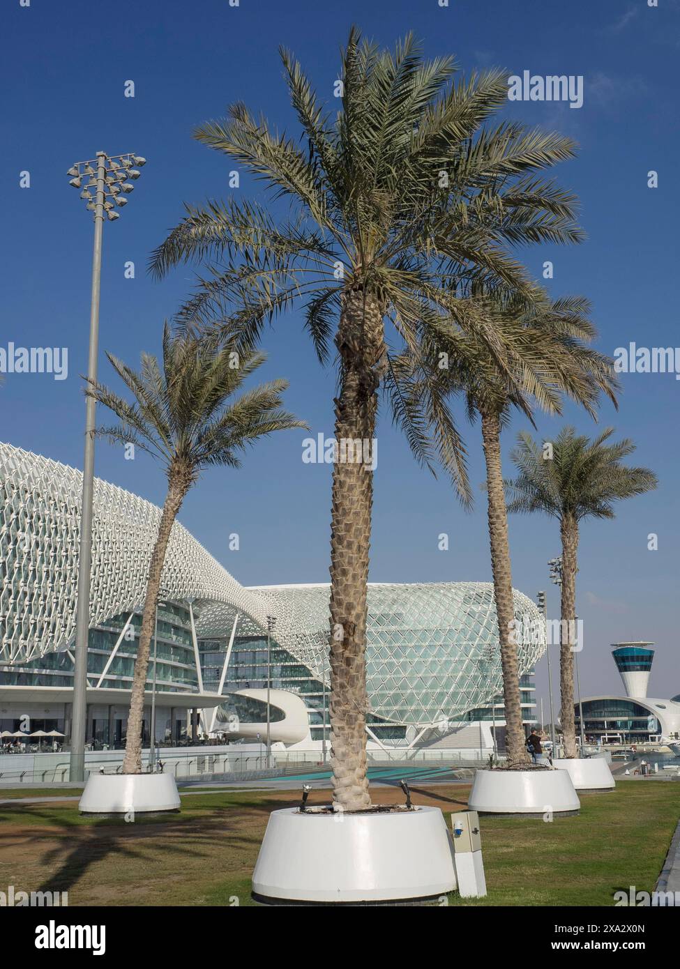 Tall palm trees in front of a modern building with lattices and a ...