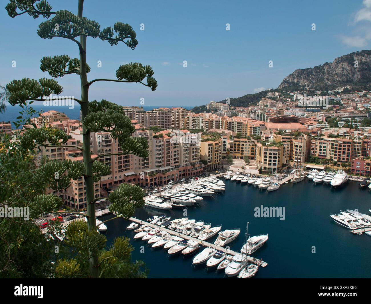 Marina with many boats, surrounded by buildings and mountains on the ...