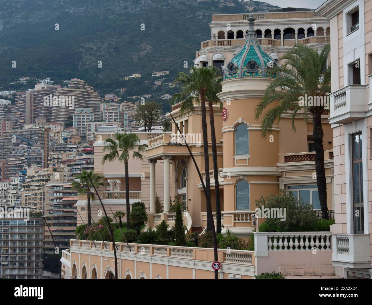 An elegant building with palm trees in front of a mountain with many ...