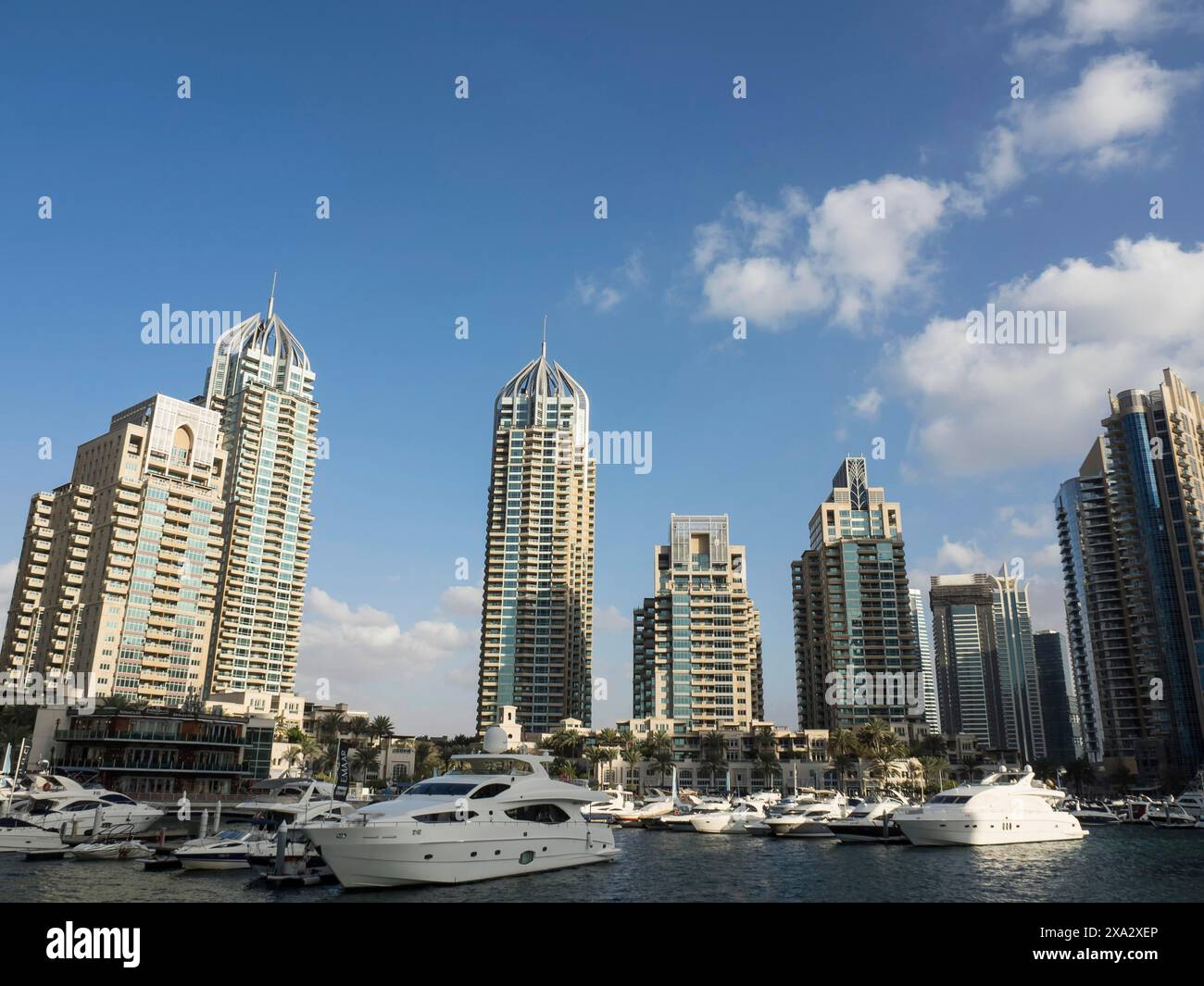 Harbour with yachts and modern skyscrapers in the background, partly ...