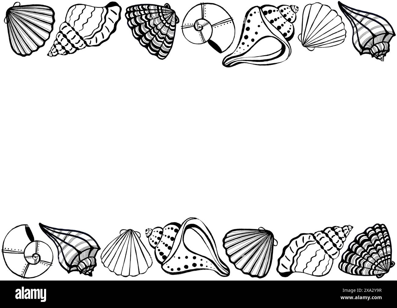 Frame made of different seashells. Drawing with black outline. White ...