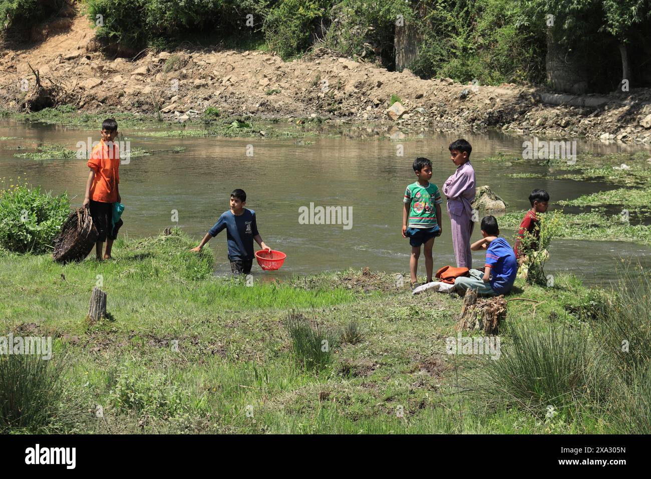 Children playing and working near a riverbank surrounded by lush ...