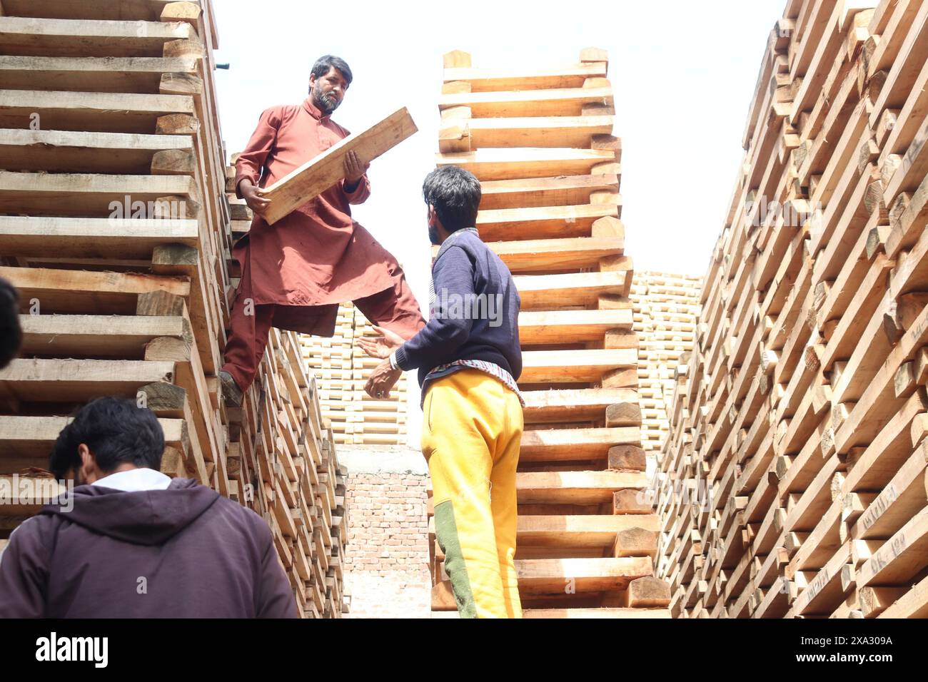 Workers handling lumber, standing between stacks of wooden planks in a ...
