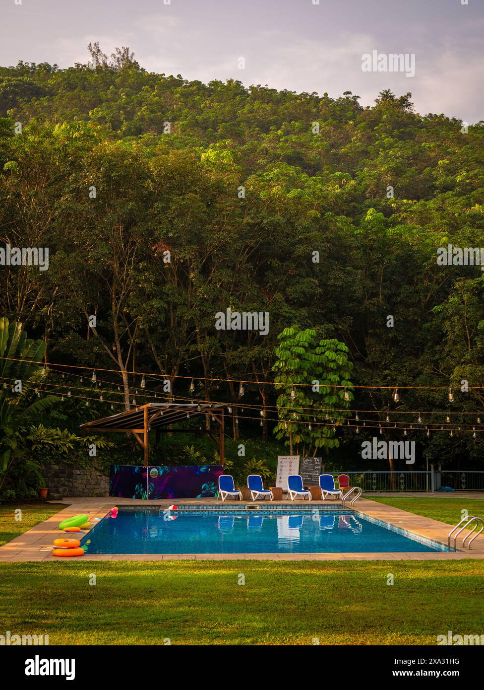 Mangalore, INDIA - December 24, 2024 : Beautiful swimming pool with ...
