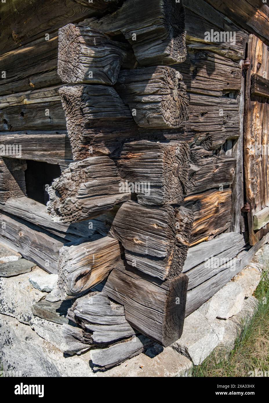 Photo showing structural arrangement of large logs in the design of ...