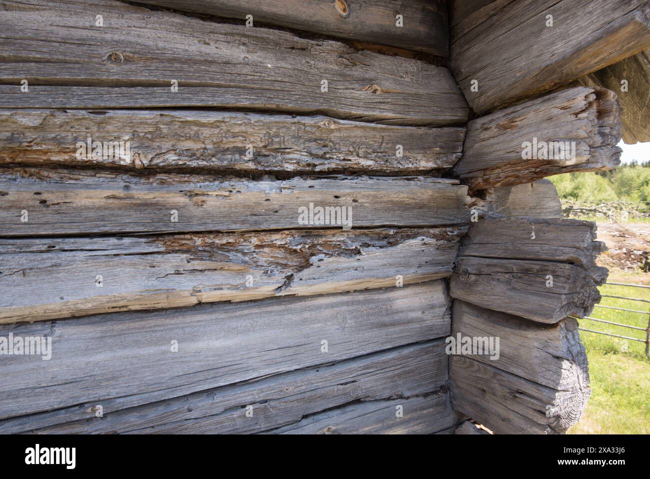 Photo showing structural arrangement of large logs in the design of ...
