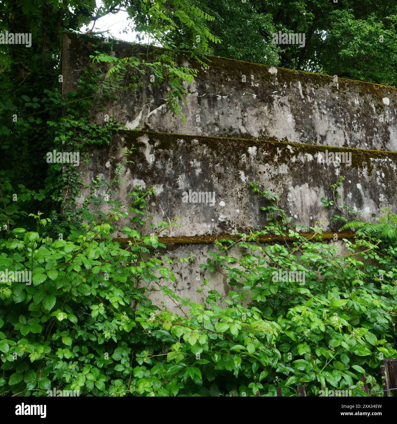 WWII German "Flak" gun basement, Bron fortress, Bron, France Stock ...