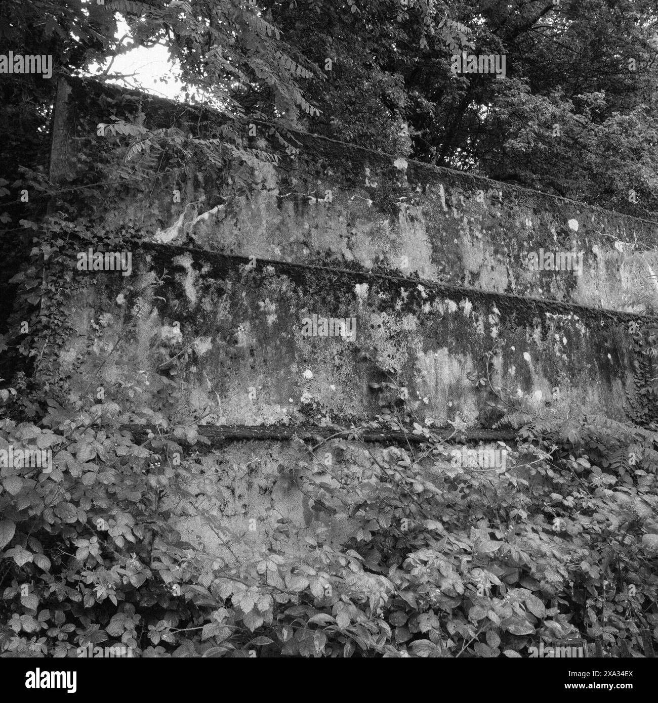 WWII German "Flak" gun basement, Bron fortress, Bron, France Stock ...
