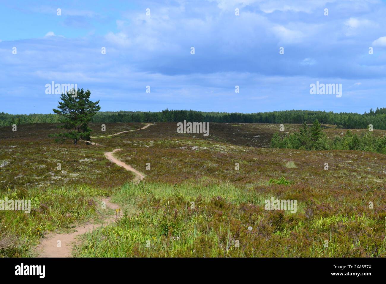 Landscape in Estonia Stock Photo - Alamy