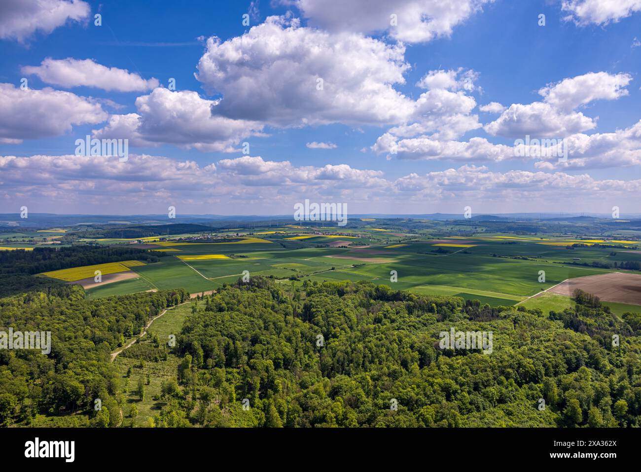 Aerial view, forest and meadows field landscape, distant view with blue ...