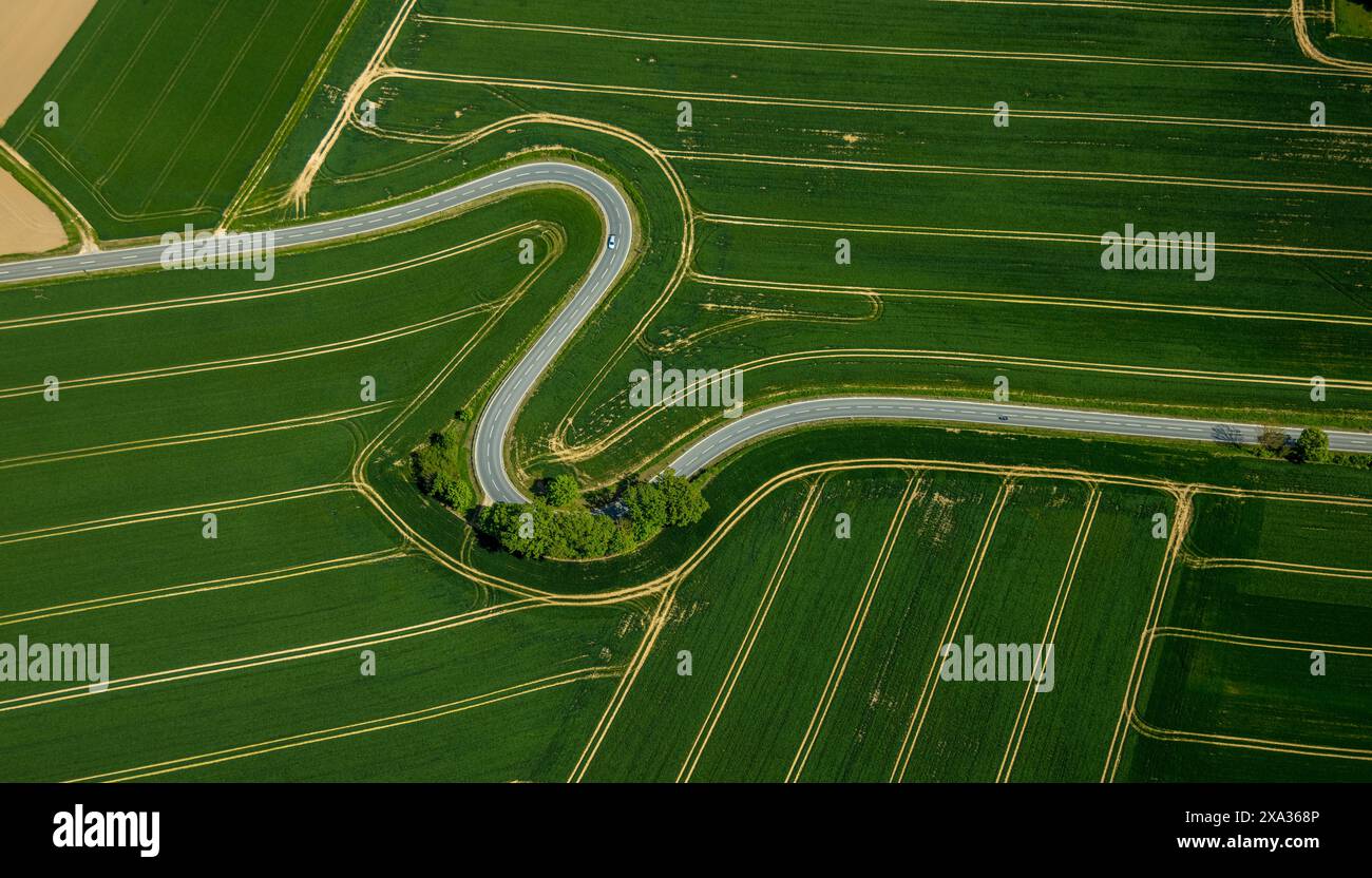 Aerial view, serpentine of the state road L863, serpentine road leads ...