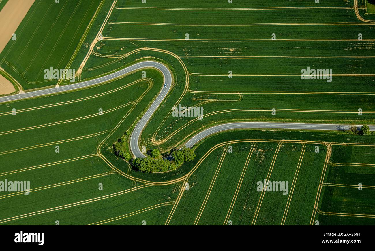 Aerial view, serpentine of the state road L863, serpentine road leads ...