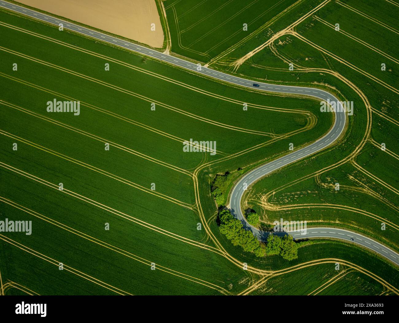 Aerial view, serpentine of the state road L863, serpentine road leads ...