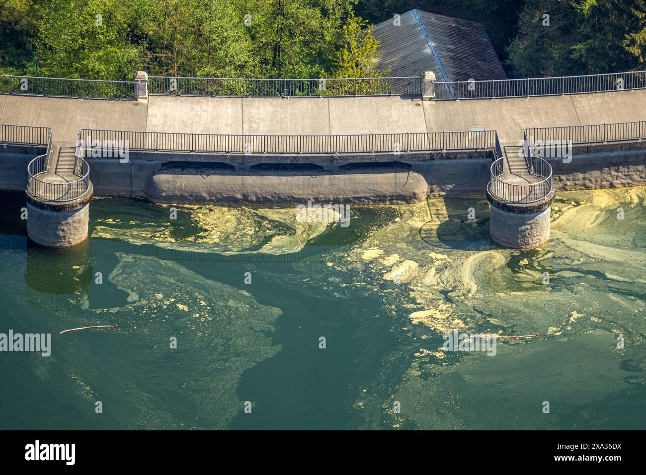 Aerial view, dam wall of the Glörtalsperre in the forest area ...