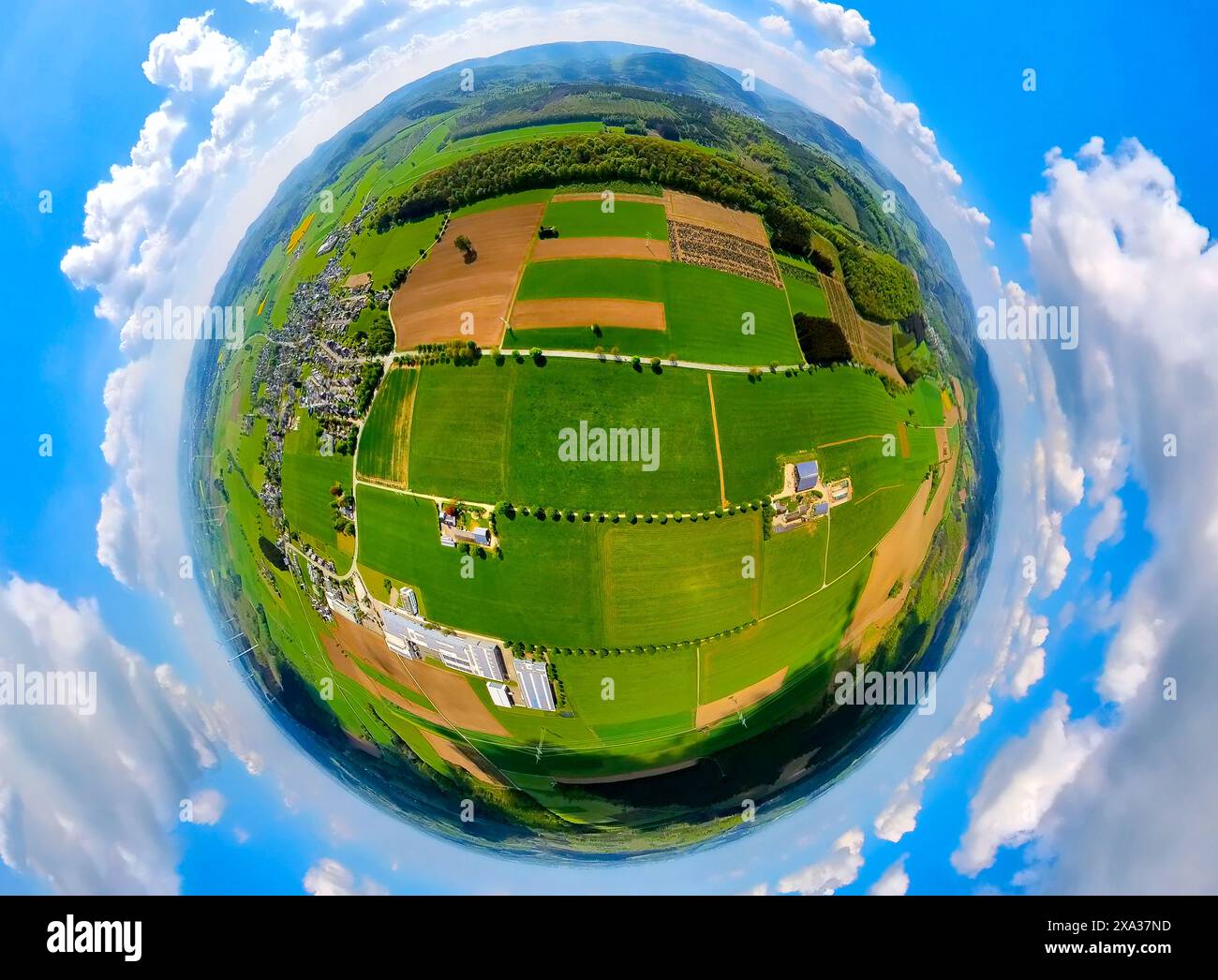 Aerial view, meadows and fields, tree on a field, below commercial area ...