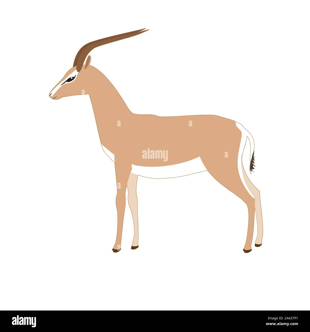 Vector gazelle isolated on white Stock Vector Image & Art - Alamy