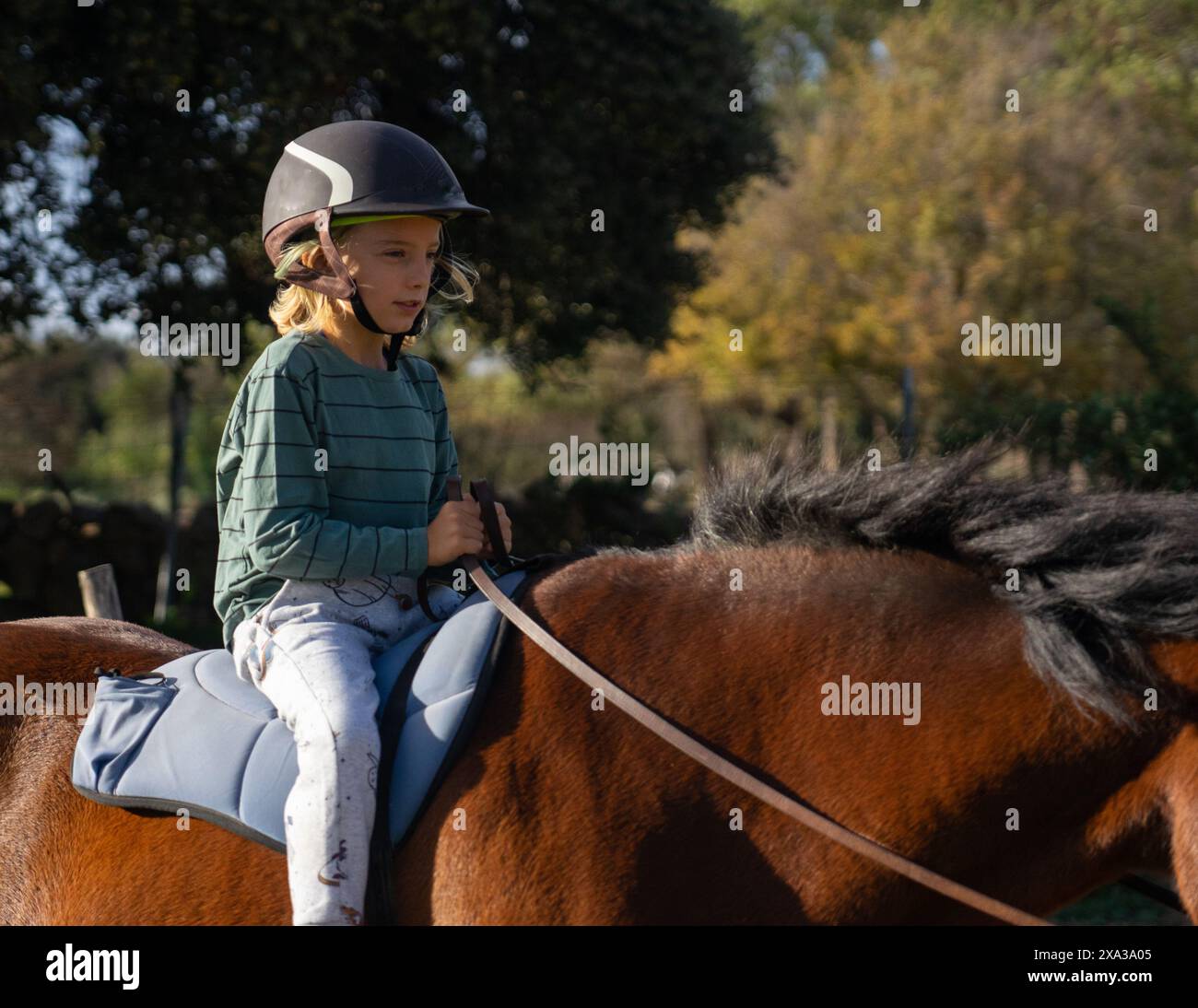 8 year old boy learning to ride a horse Stock Photo - Alamy