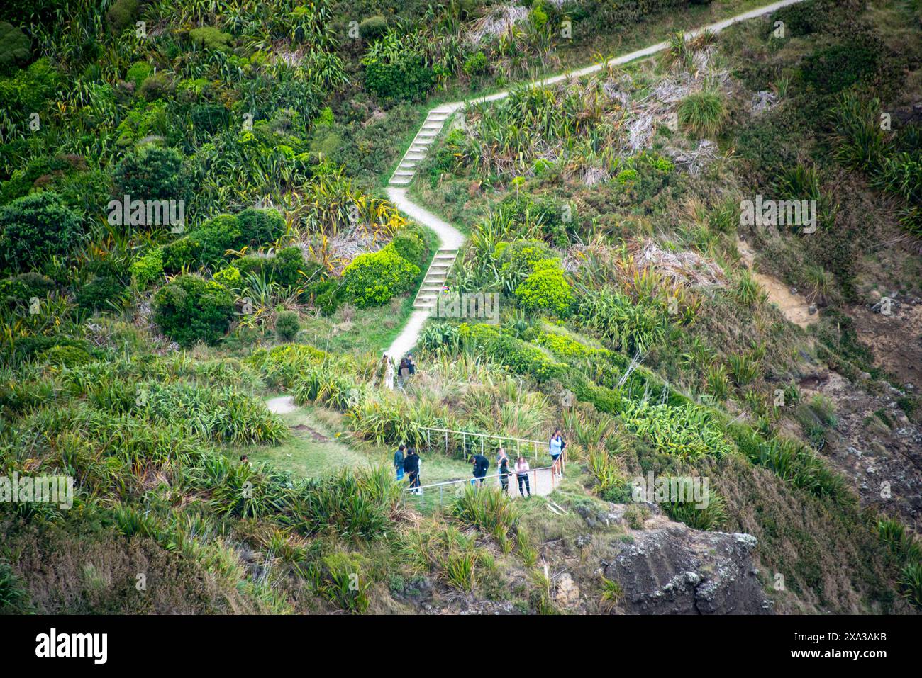 Mercer Bay Loop Walk - New Zealand Stock Photo - Alamy