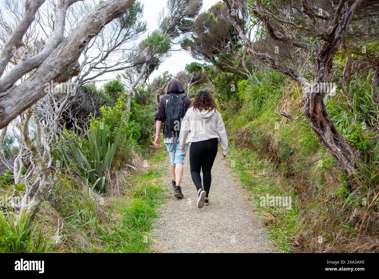 Mercer Bay Loop Walk - New Zealand Stock Photo - Alamy