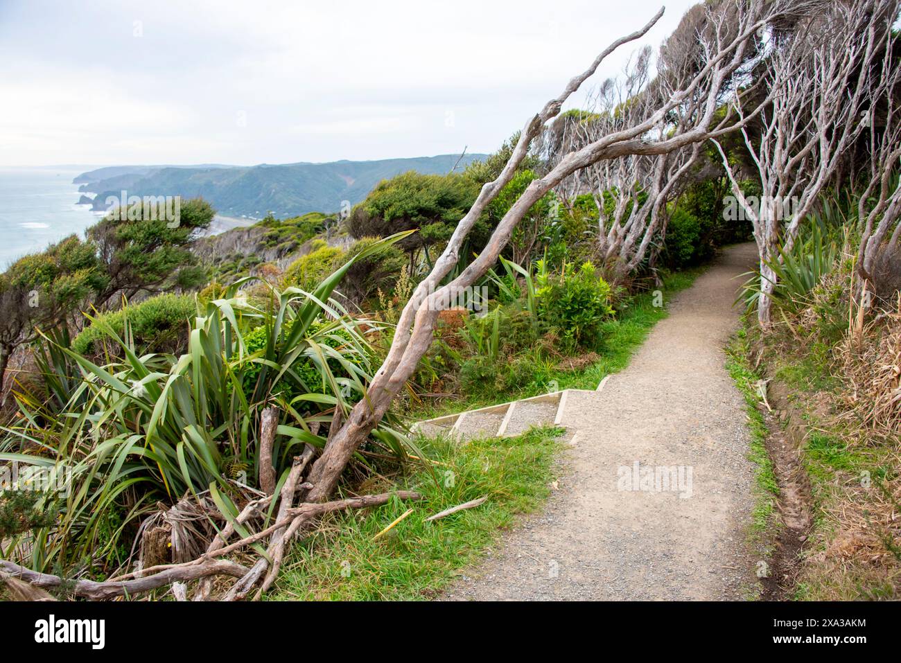 Mercer Bay Loop Walk - New Zealand Stock Photo - Alamy