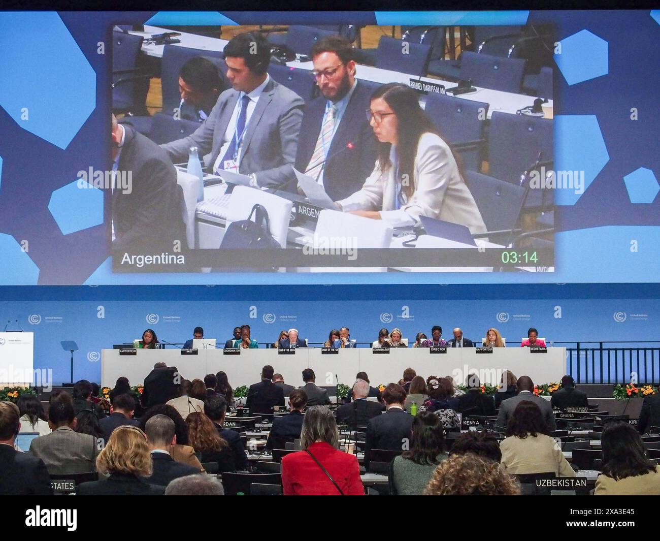 Bonn, Germany, Germany. 3rd June, 2024. A representative of Argentina ...