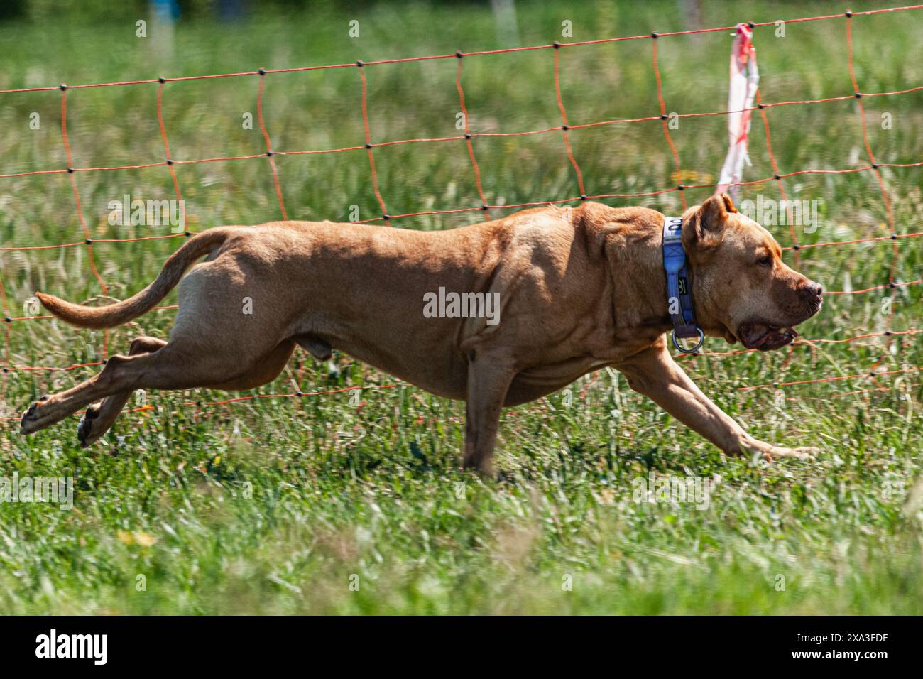 Lifted off the ground hi-res stock photography and images - Alamy