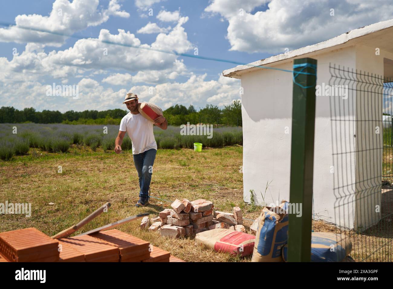 Indian man building a shed outdoor by the side of a lavender plantation ...