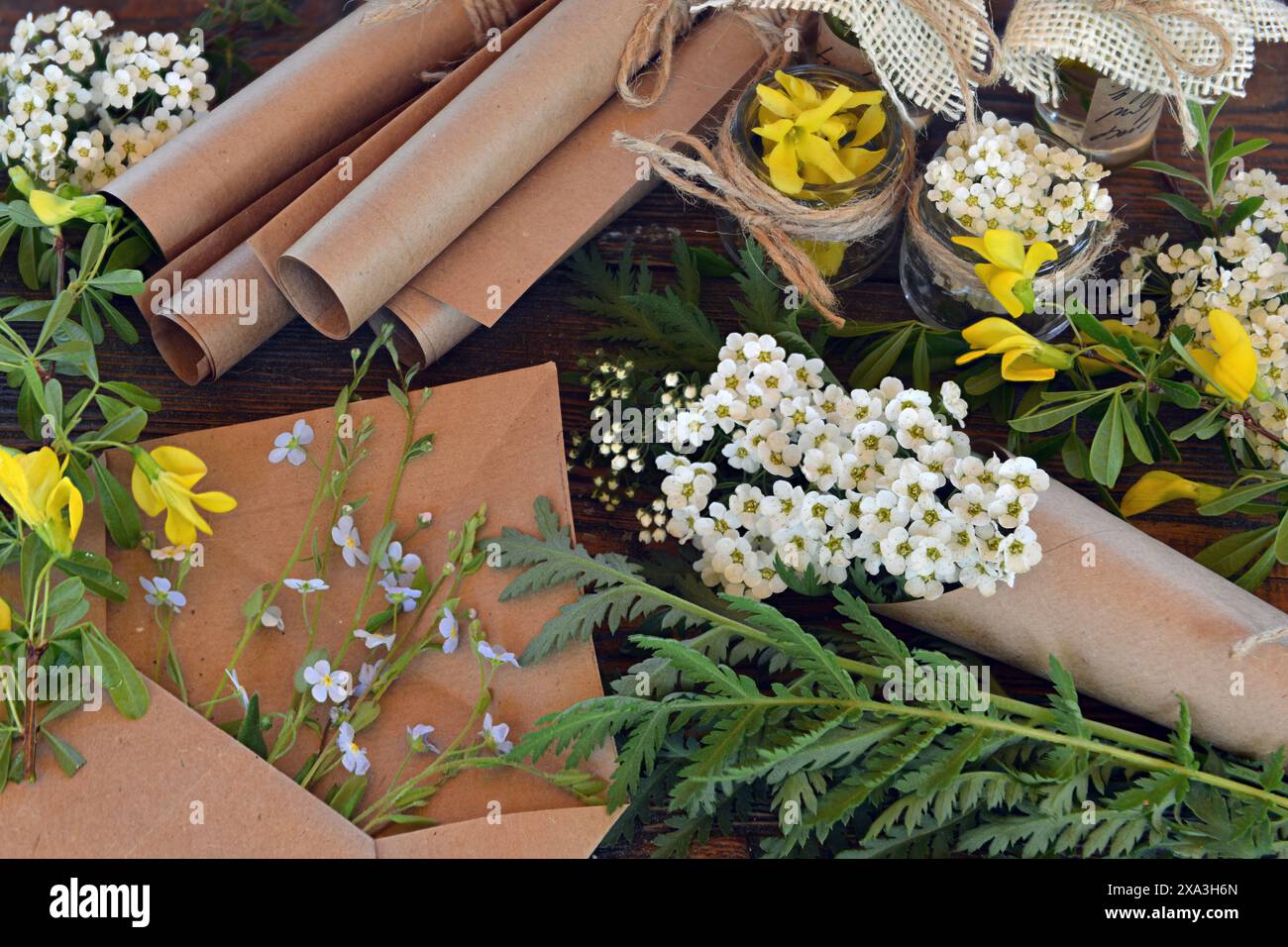 Mystic still life with healing herbs, paper scrolls and witchy ritual ...