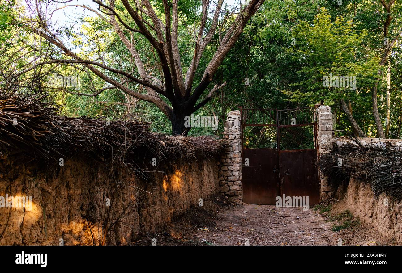 Old garden, Chamran street, Shiraz, Iran Stock Photo - Alamy