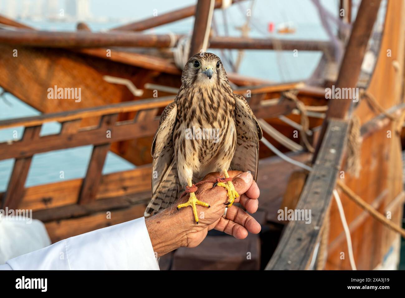 Katara Traditional Dhow Festival in Katara cultural village, Doha ...