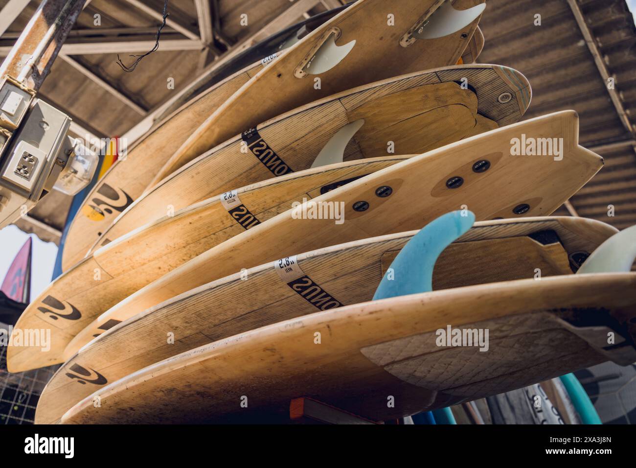 A variety of surfboards are neatly displayed on a stand Stock Photo - Alamy
