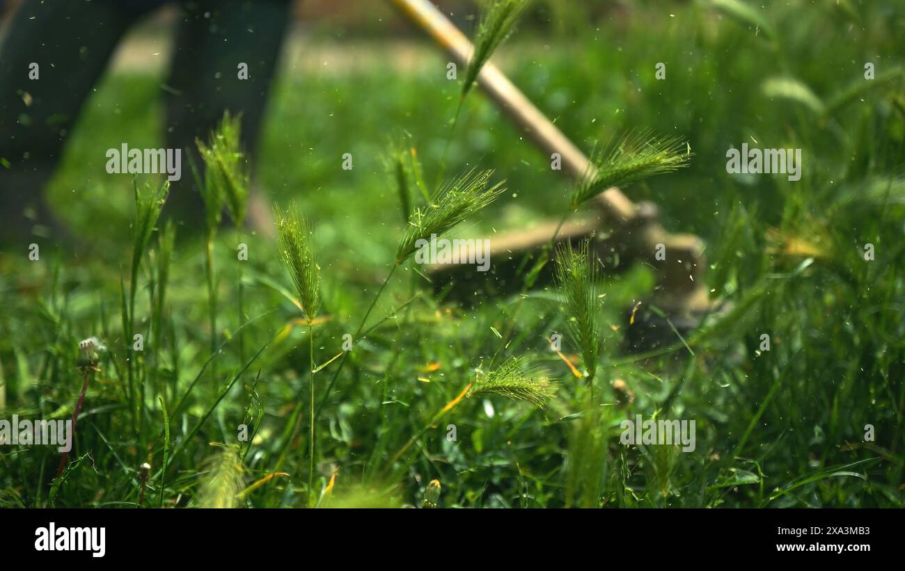 Lawn trimming with handheld string trimmer grass cutter and mower ...