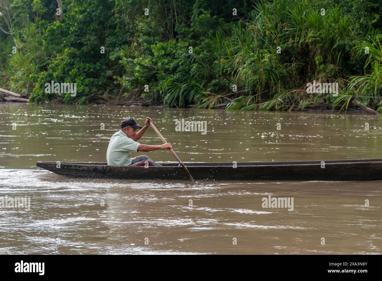 Local senior man riding his canoe on the Napo River by Yasuni national ...