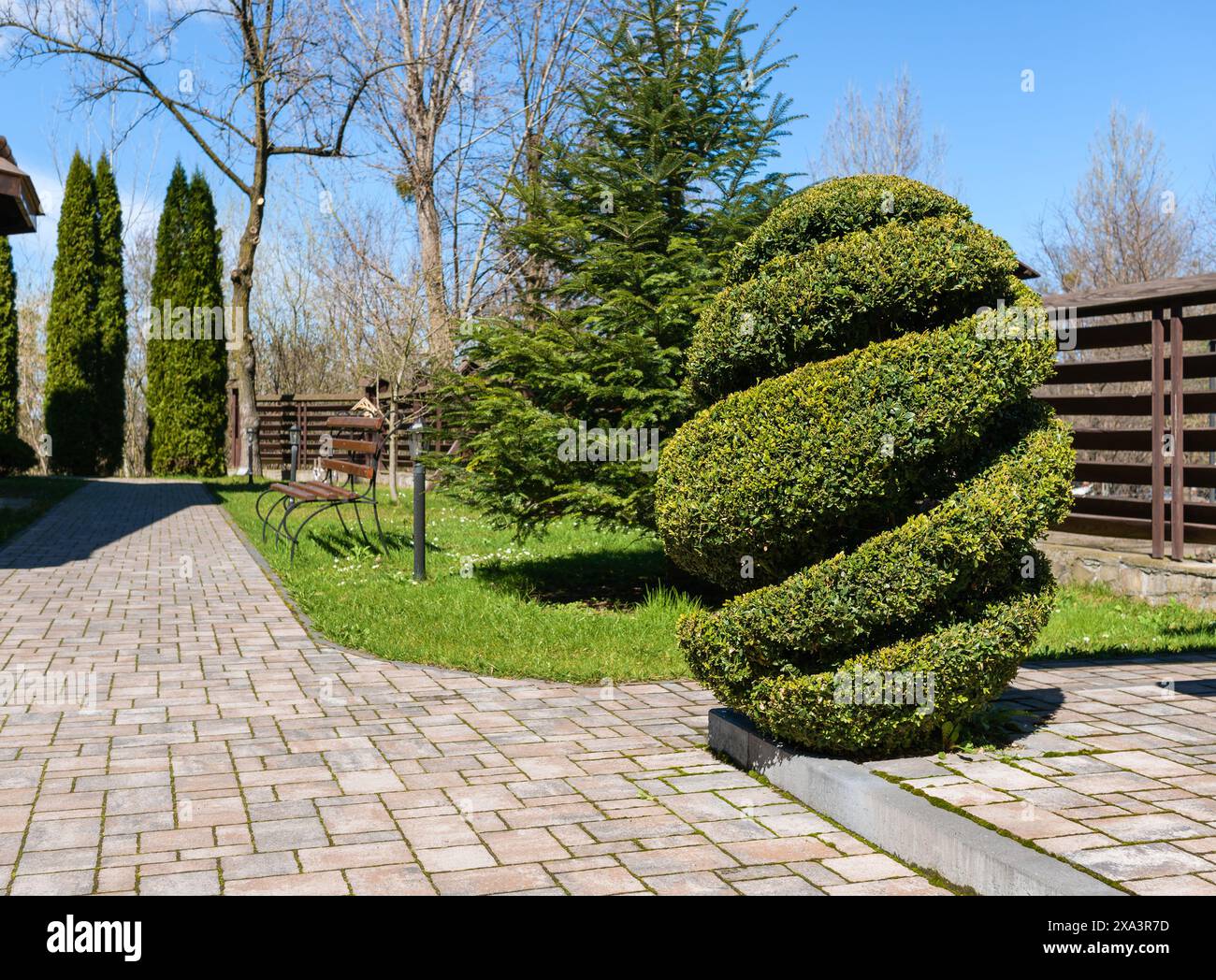 A boxwood bush trimmed by a gardener into an egg shape in a spiral ...