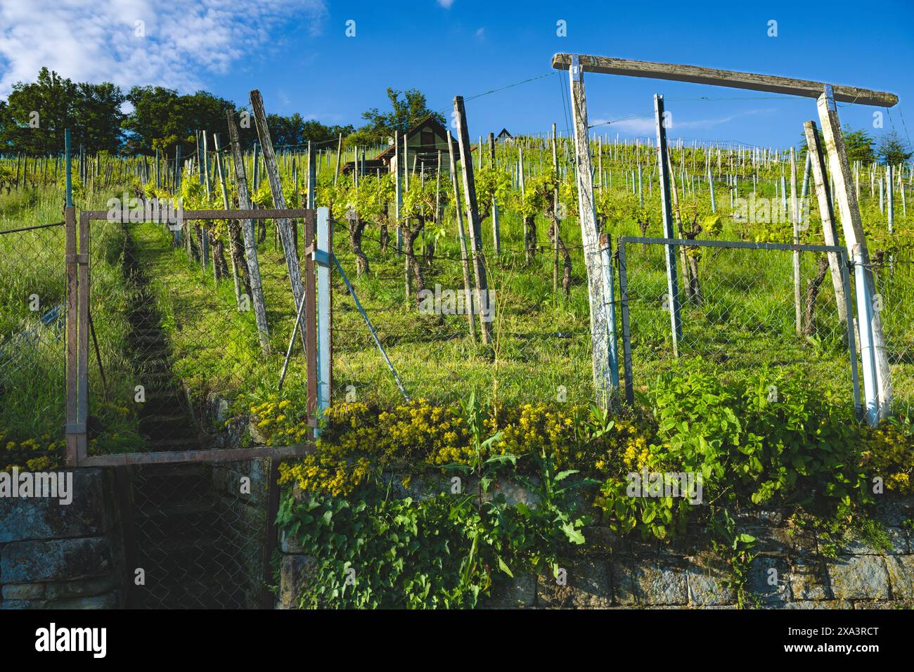 Steps over fence hi-res stock photography and images - Alamy