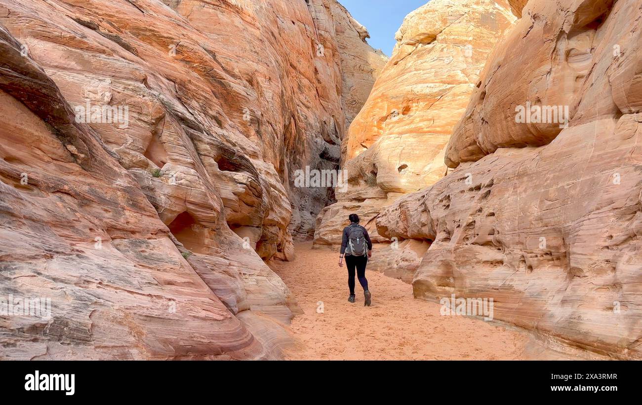 Female hiker walking into the narrow, pink and perfectly carved by ...