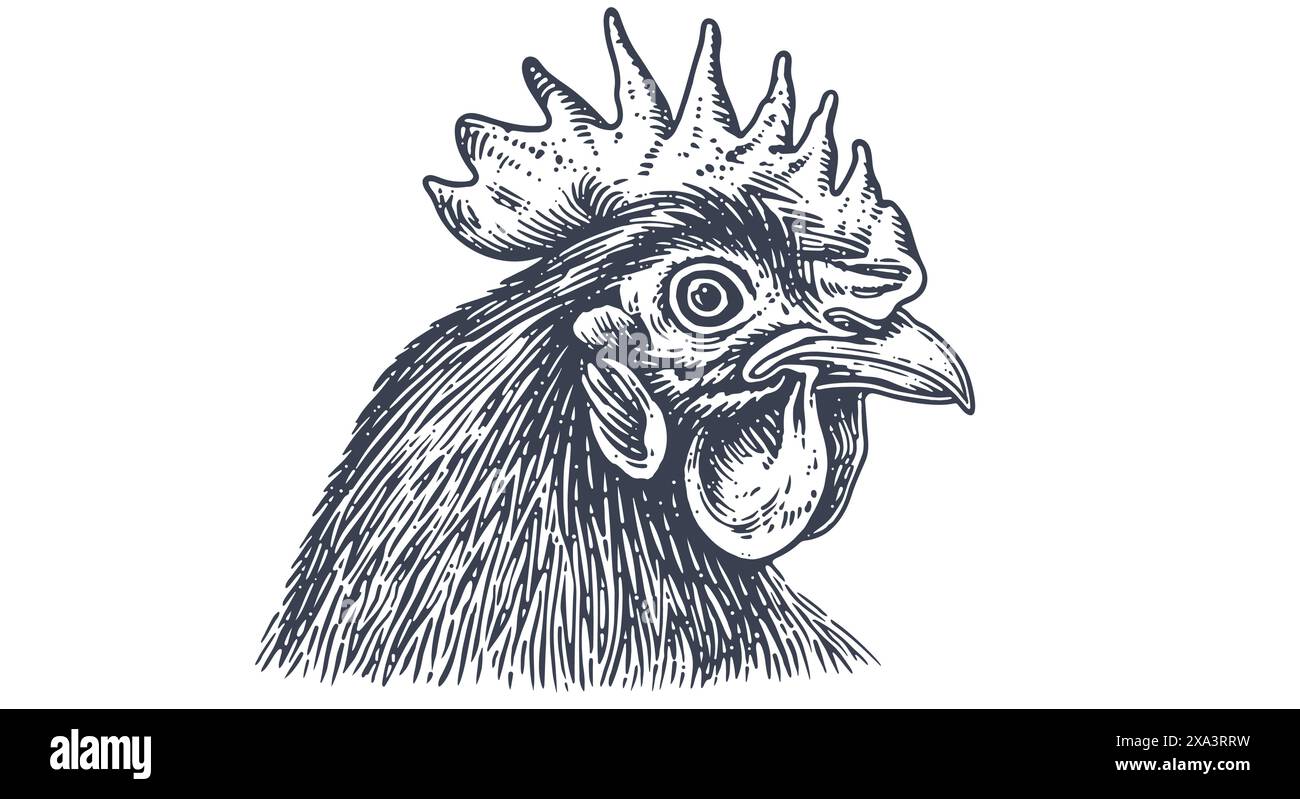 Chicken, hen head. Vintage retro print Stock Vector Image & Art - Alamy
