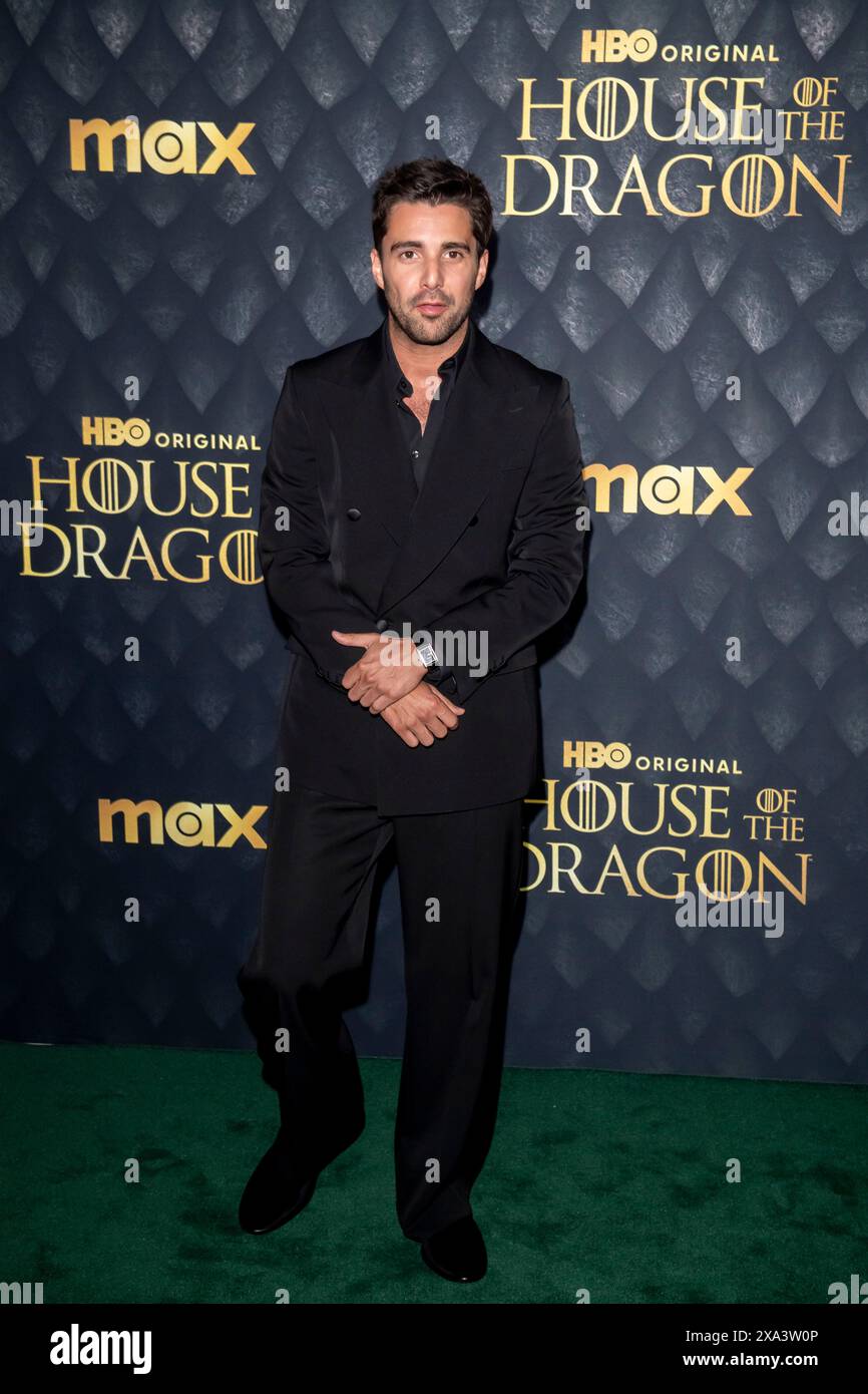New York, United States. 03rd June, 2024. Fabien Frankel attends HBO's ...