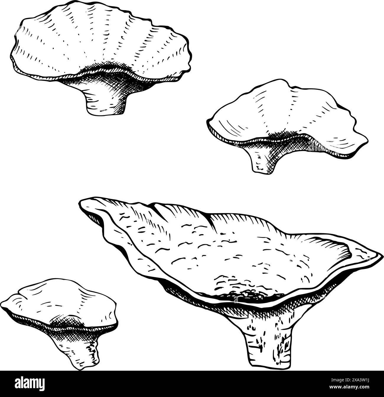 A set of sea or ocean coral reef sponge. Hand drawn graphic vector ...
