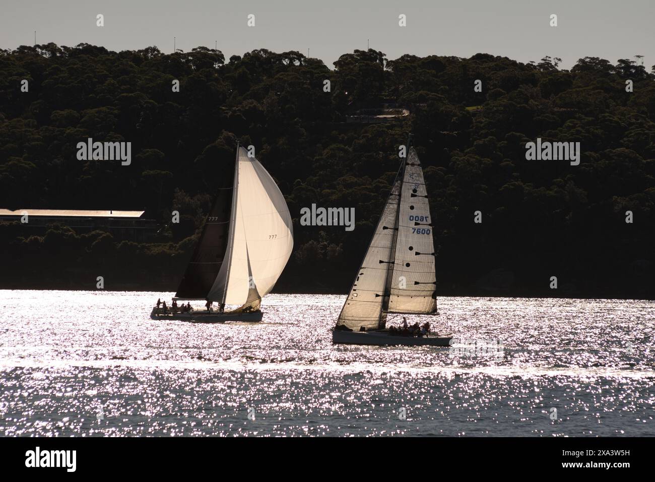 Two yachts racing on a glistening Sydney Harbour, Georges Head, Sydney ...