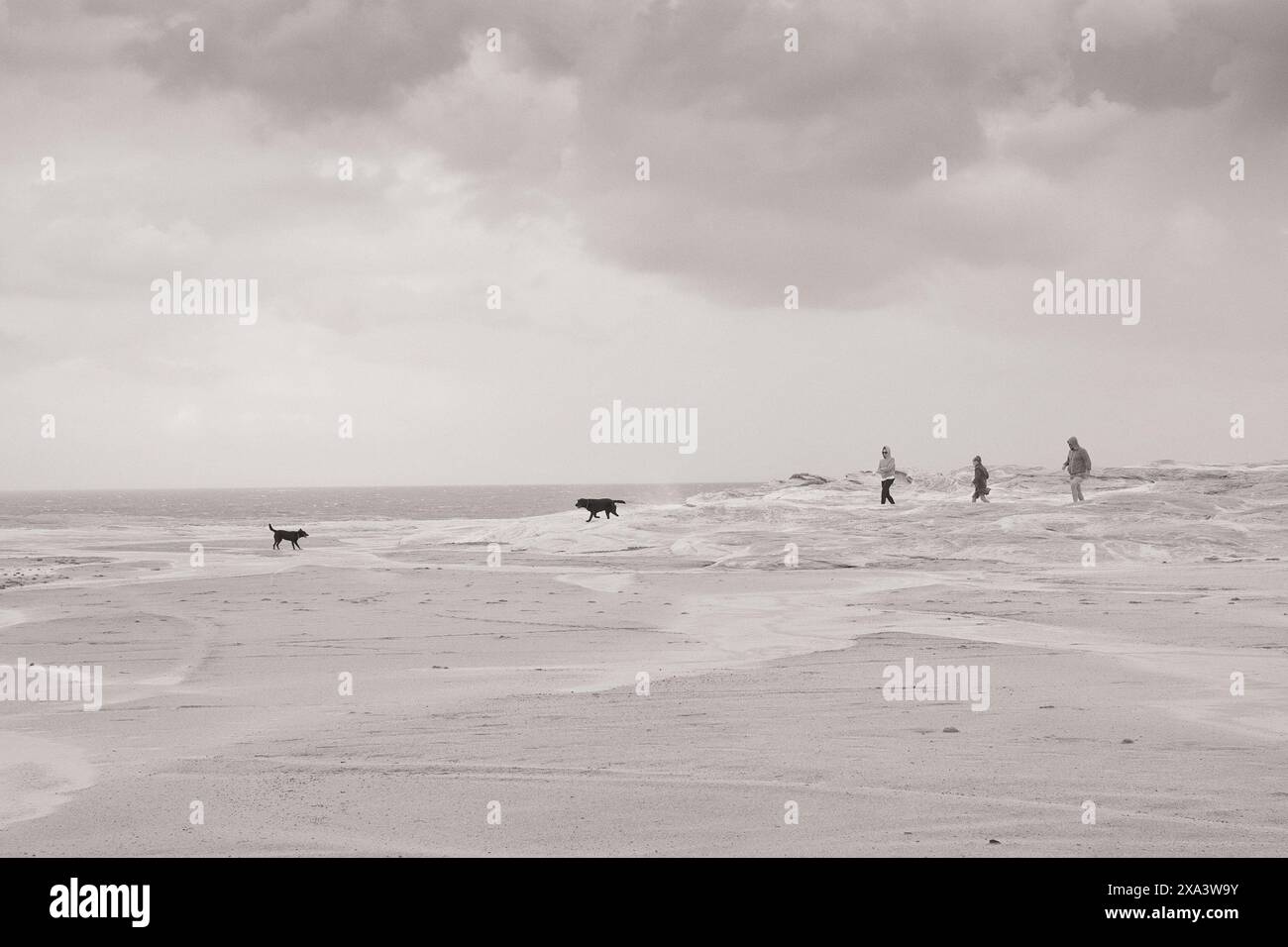 Potter Point on The Kurnell Peninsula, Kamay Botany Bay National Park ...