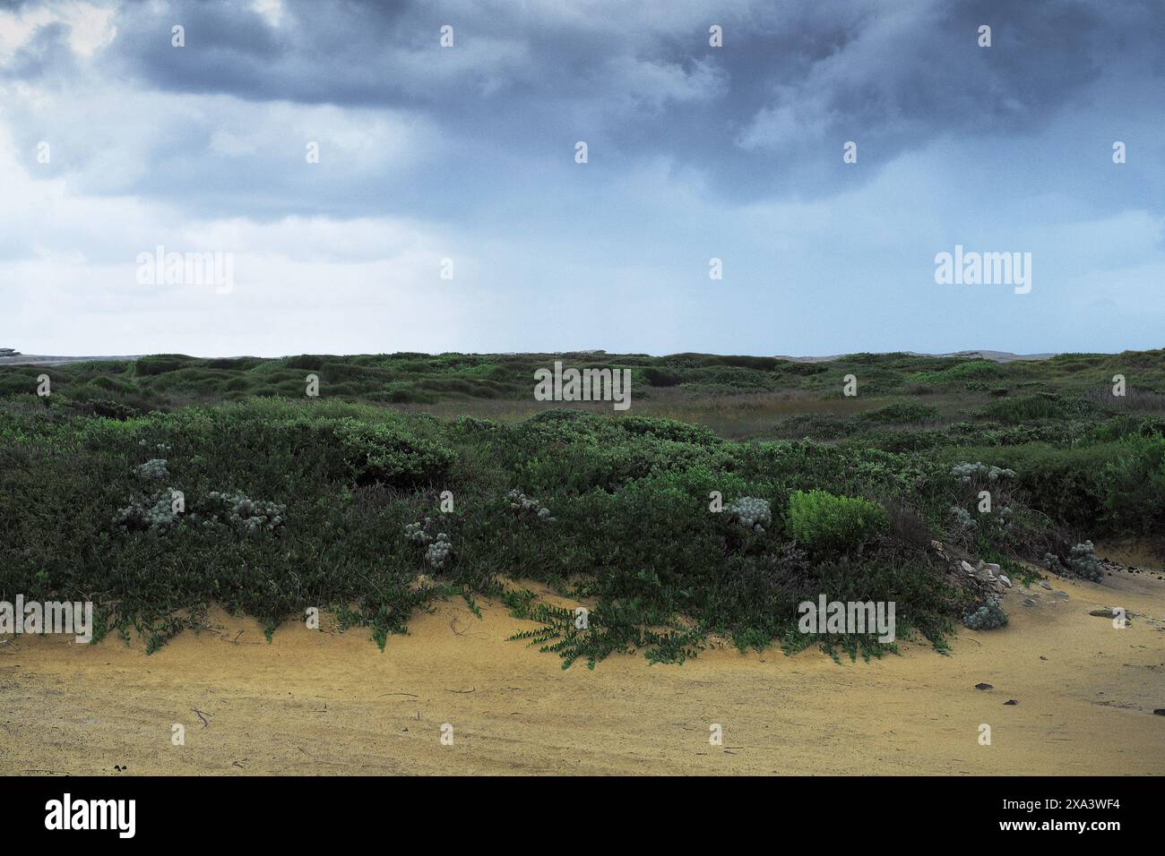 Potter Point on The Kurnell Peninsula, Kamay Botany Bay National Park ...