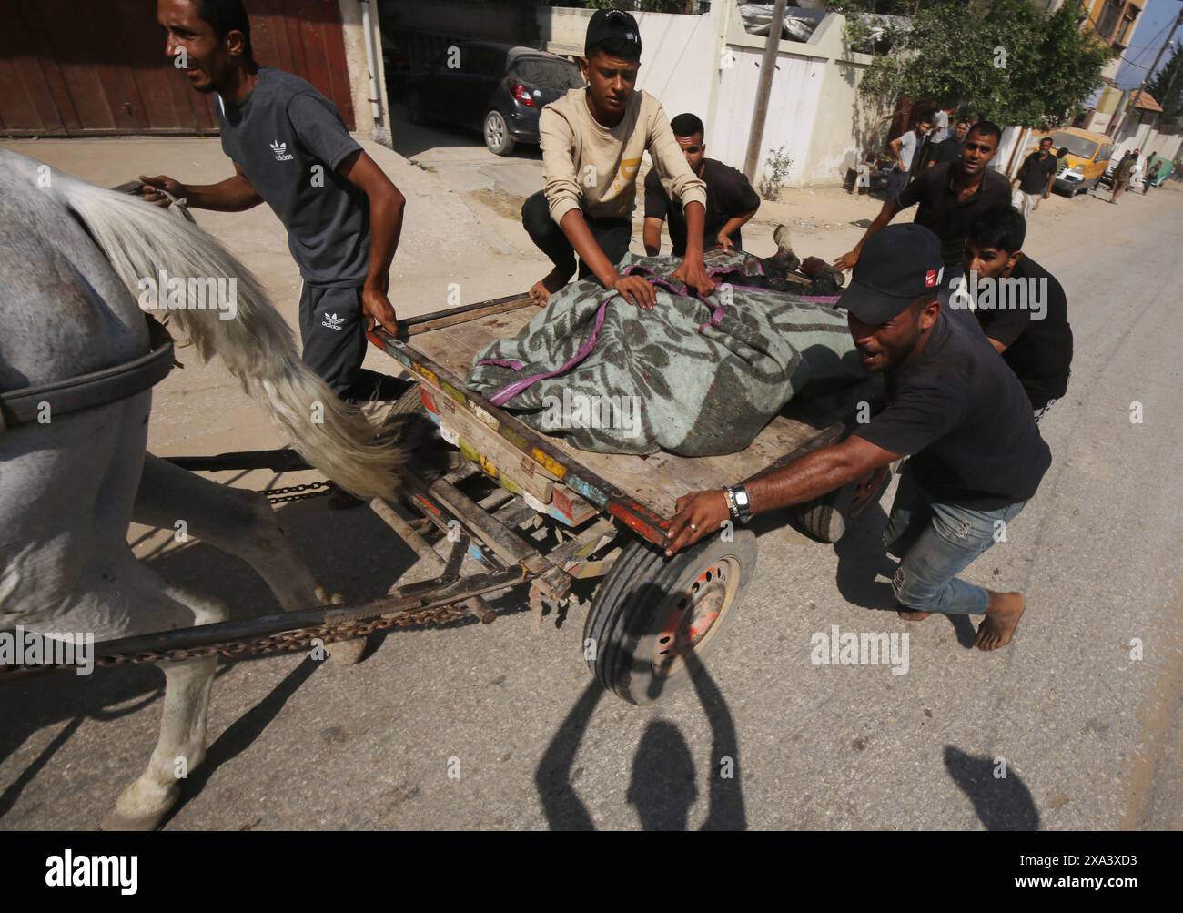 Palestinians transport bodies of victims on a donkey-drawn cart to Al ...