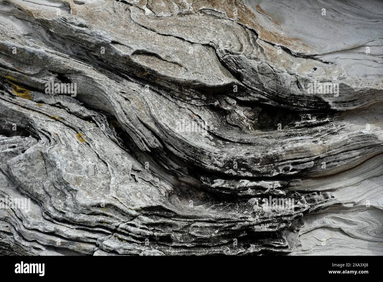 Detail of grey sandstone salt flecked at Potter Point on the Kurnell ...