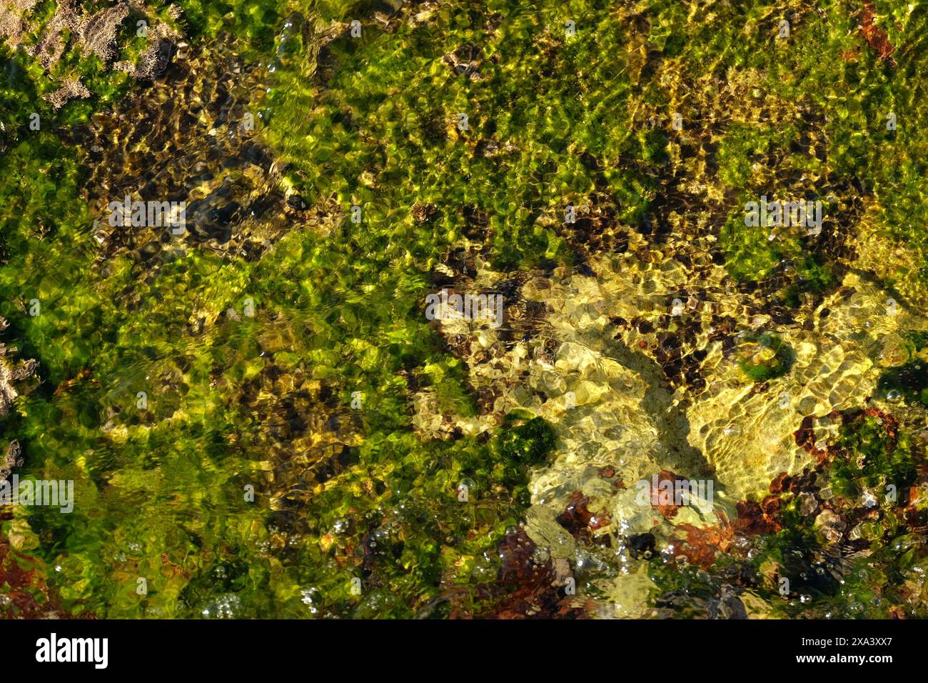 Nature making making abstract patterns in with seawater ripples over a ...