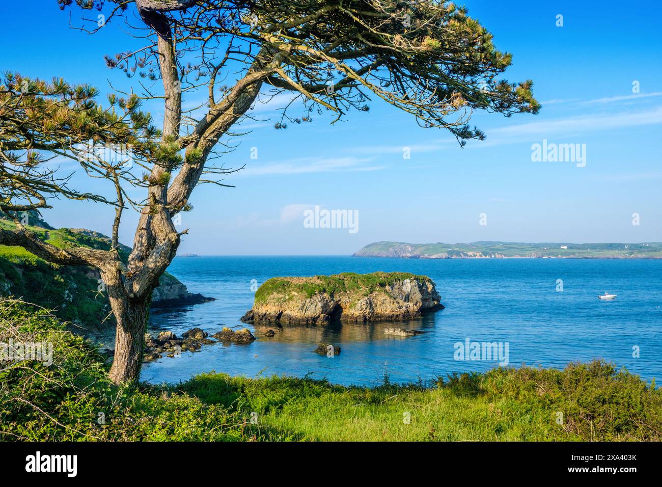 Cemaes Bay on the north coast of Anglesey, Wales Stock Photo - Alamy