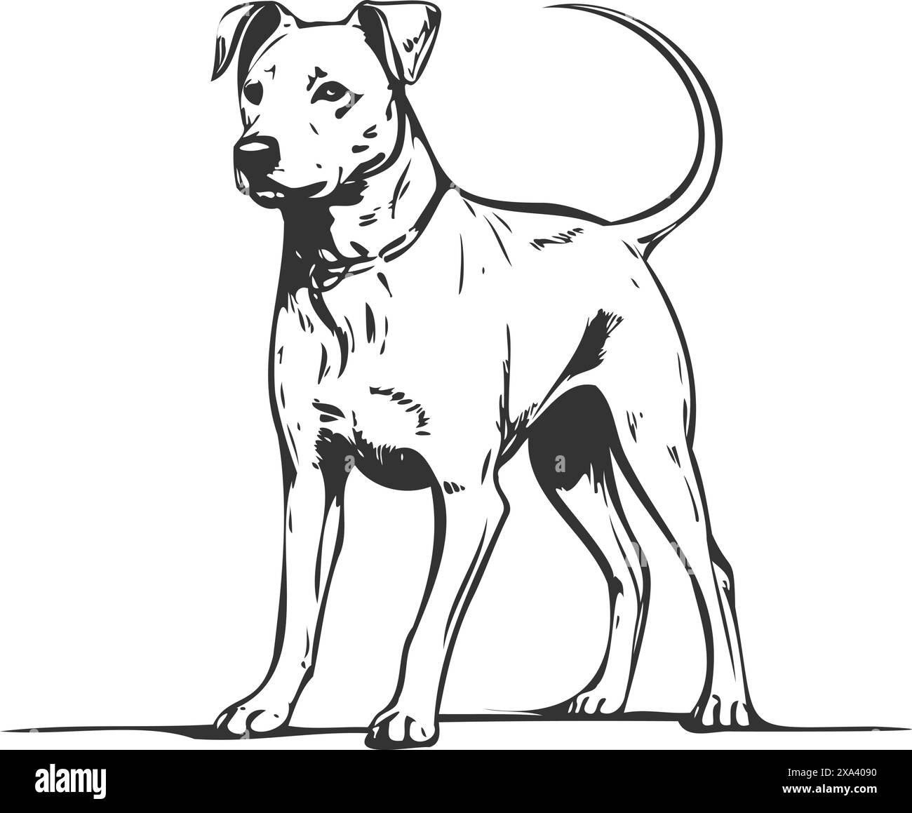 illustration of a dog, stray dog in the streets, line art doggy, pencil ...